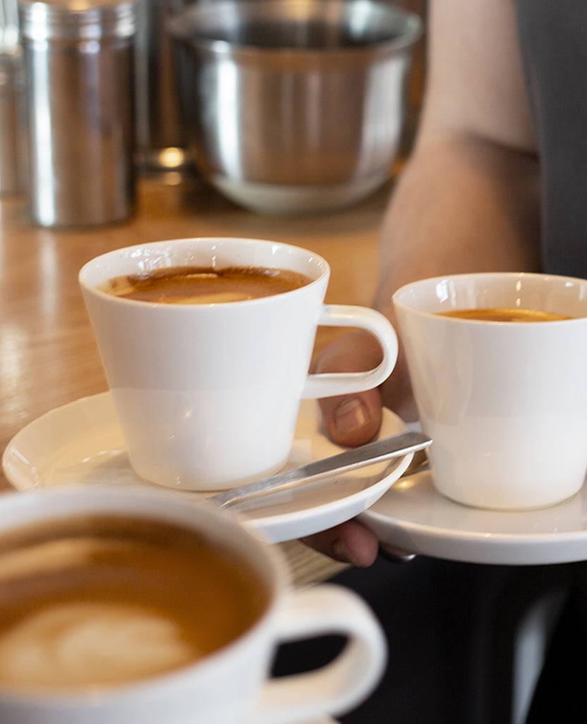 Roman Range | Acme Cups – Acme Cups New Zealand